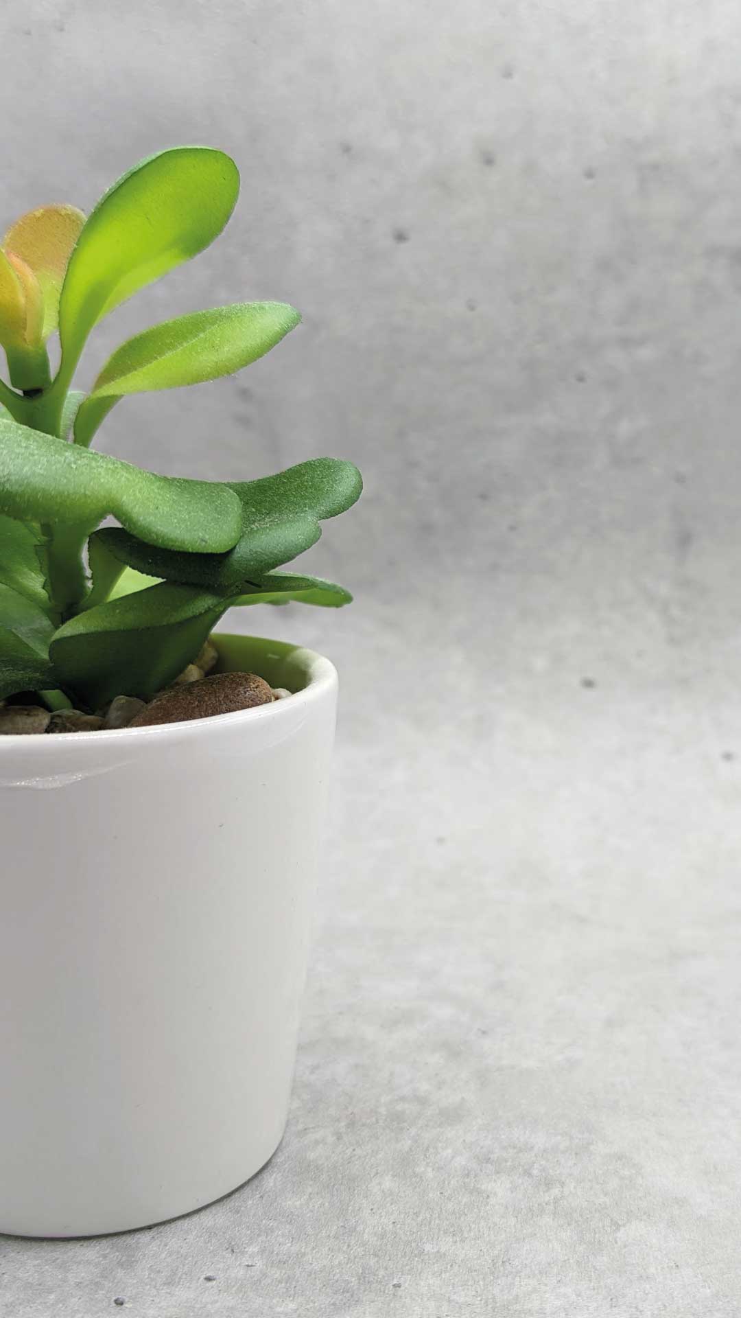 Concrete Kitchen Wrap - Get Inspired With Kitchenwrapper.com